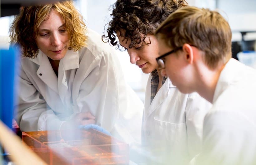 Kelly Stevens to Co-Lead NIH Funded Center to Foster New Ideas and ...